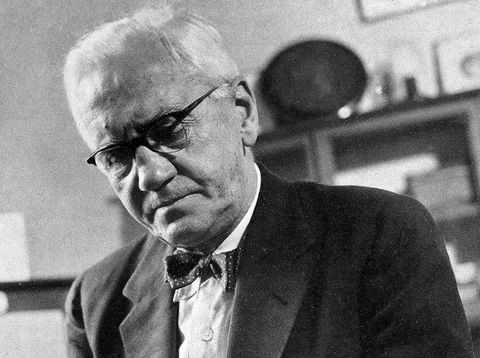 Alexander Flemings opdagelse af penicillin | Superprof